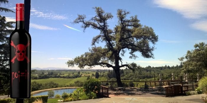 The Best Spooky Wines for Halloween - Winerist Magazine : Winerist Magazine