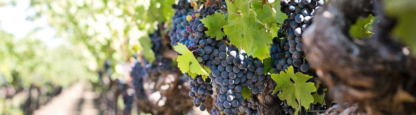 Best Wineries to Visit in Rioja - Winerist Magazine : Winerist Magazine