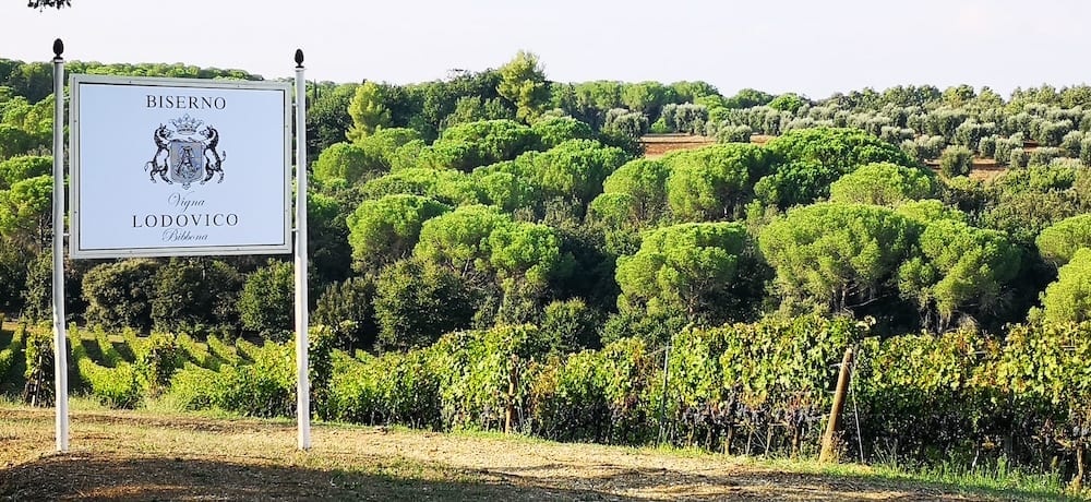Meet the Hottest New Super Tuscan Estate: Tenuta di Biserno - Winerist ...