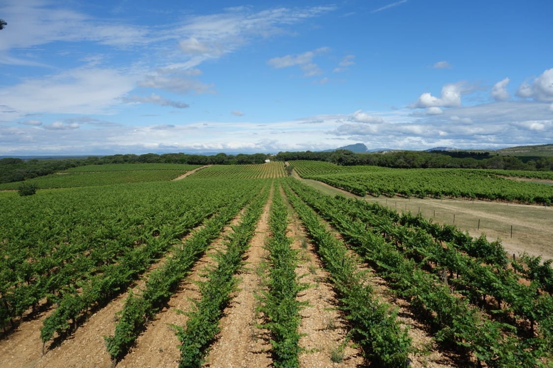 A Guide to the Minervois and the surrounding area - Winerist Magazine ...