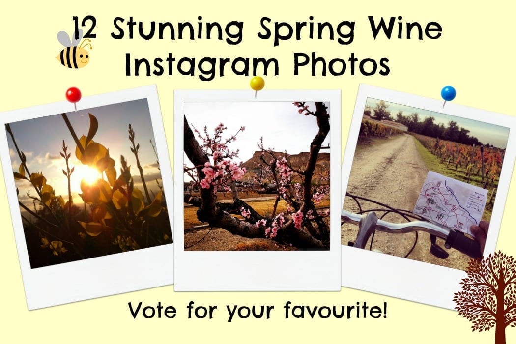 12 Stunning Spring Wine Instagram Photos - Winerist Magazine : Winerist ...