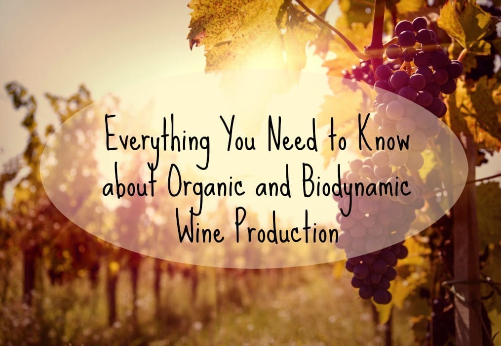 Everything You Need to Know about Organic and Biodynamic Wine Production - Winerist Magazine ...