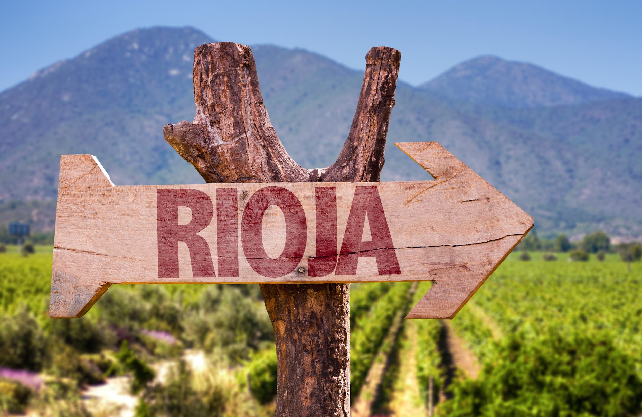 How to spend the perfect day in Rioja? - Winerist Magazine : Winerist ...
