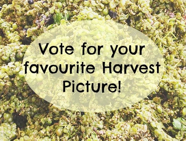 Vote for your favourite Harvest picture - Week 1, September 28th ...