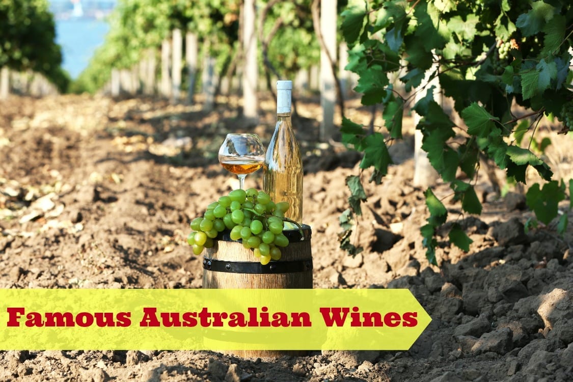 An Introduction to Famous Australian Wines - Winerist Magazine ...