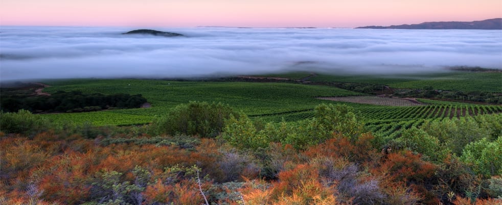 Napa - An in-depth guide to Calistoga - Winerist Magazine : Winerist ...