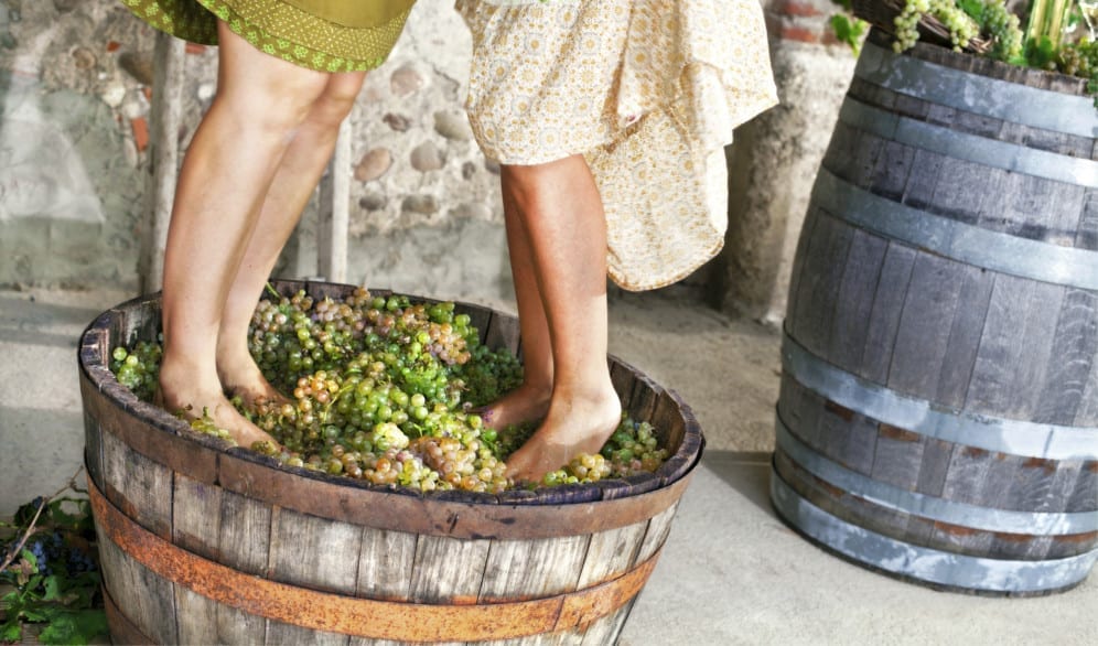 Grape Stomping in Champagne at Harvest - Winerist Magazine : Winerist ...
