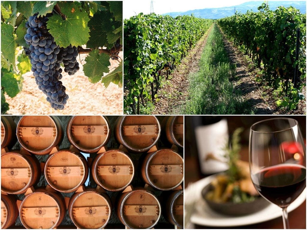 Rhone Valley Wine Guide - Winerist Magazine : Winerist Magazine
