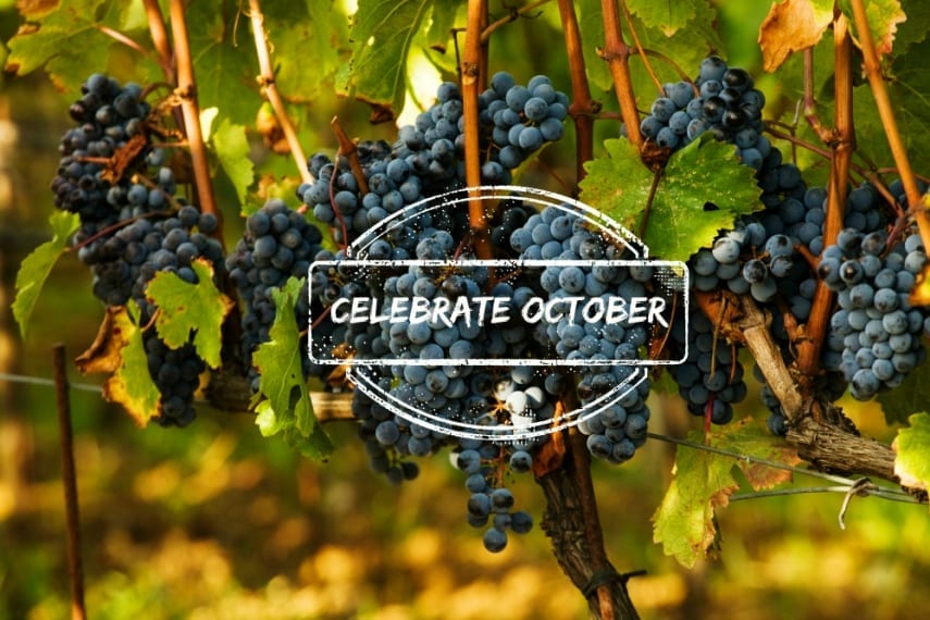 What's On - October's Best Food & Wine Festivals - Winerist Magazine ...