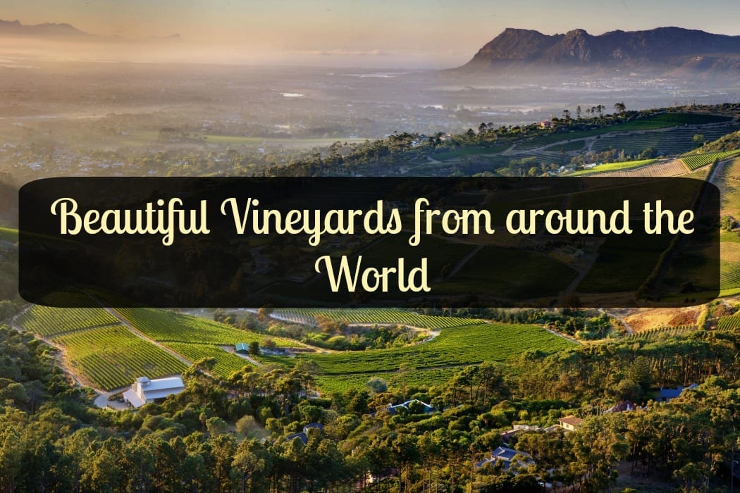 Beautiful Photos of Vineyards from around the World - Winerist Magazine ...
