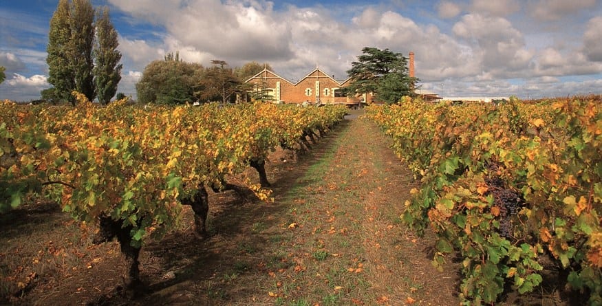 Barossa 2013 Vintage Report - Winerist Magazine : Winerist Magazine