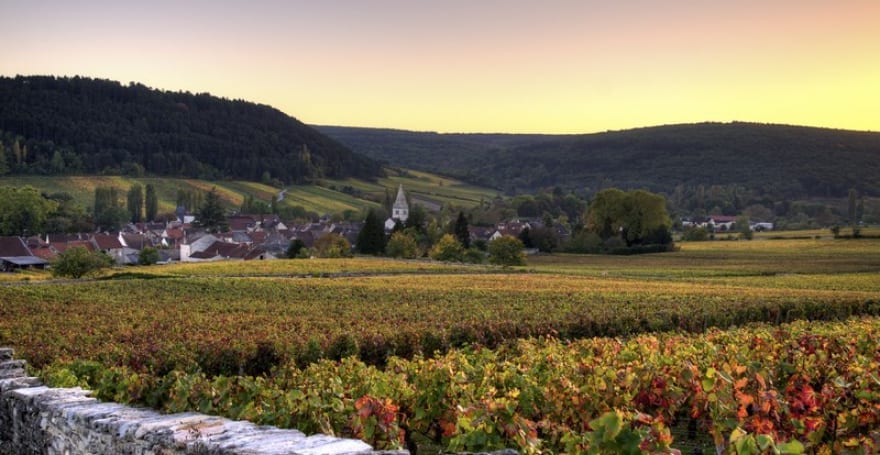 Burgundy Wine Tasting London June 2014 - Winerist Magazine : Winerist ...