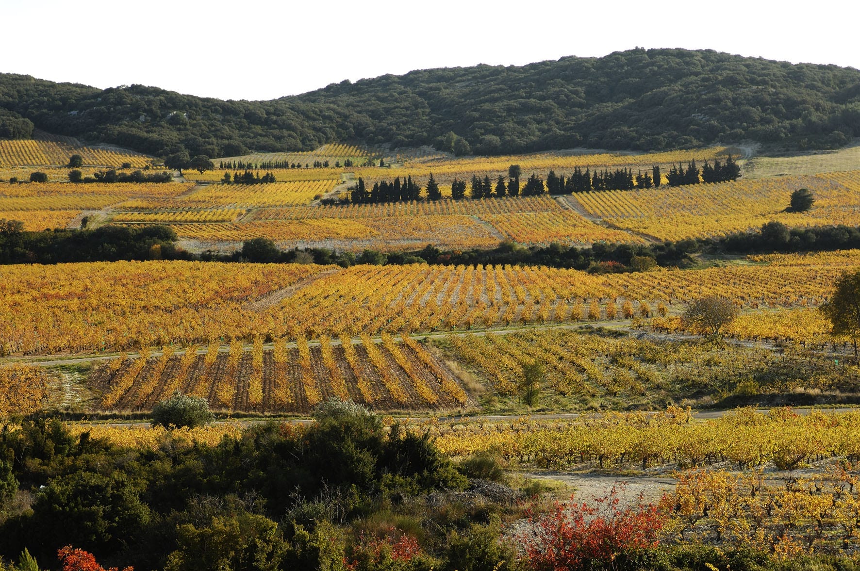 The Rhône Valley: What to See and Where to Stay - Winerist Magazine ...