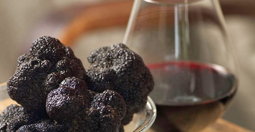 Autumn Truffle Hunting Season 2013 - Part 1 - Winerist Magazine ...