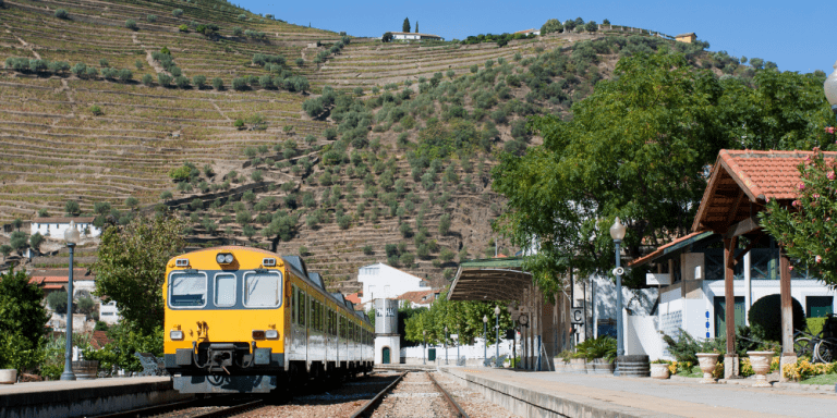 How to Do the Douro Valley by Train and Take Wine Tours : Winerist Magazine