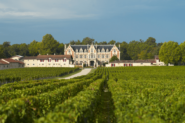 The Best Bordeaux Wine Tours & Winery Visits : Winerist Magazine