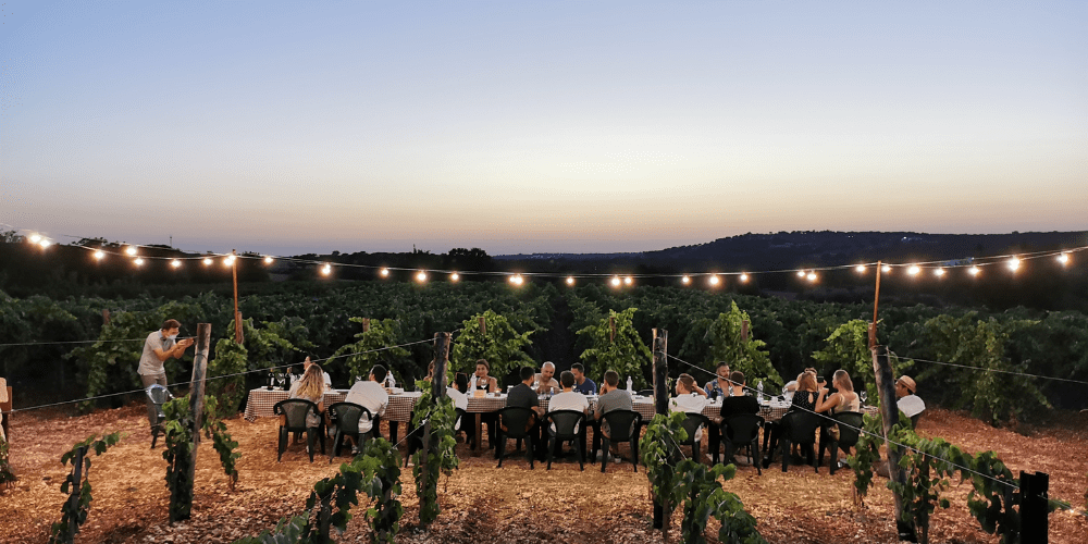 Bespoke wine tasting experiences for Corporate team building - Winerist ...