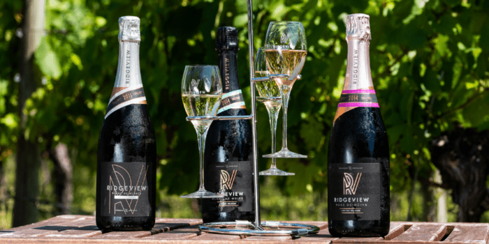 Bespoke wine tasting experiences for Corporate team building - Winerist ...