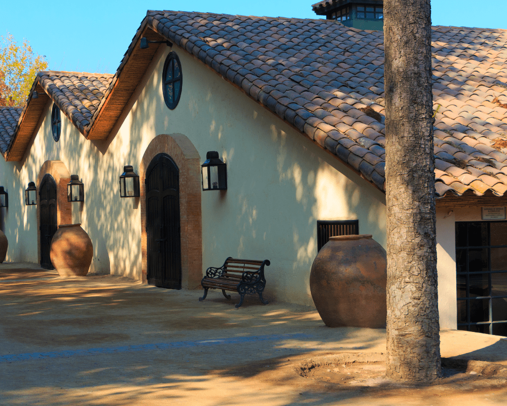 A Wine Lovers Guide to the Best Wine Regions in Chile : Winerist Magazine