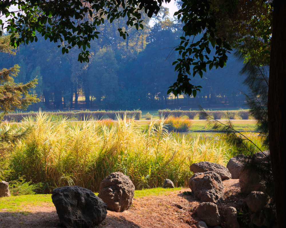 A Wine Lovers Guide to the Best Wine Regions in Chile : Winerist Magazine