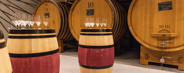 Discover Tenuta Luce's 2023 Harvest Journey - Winerist Magazine ...