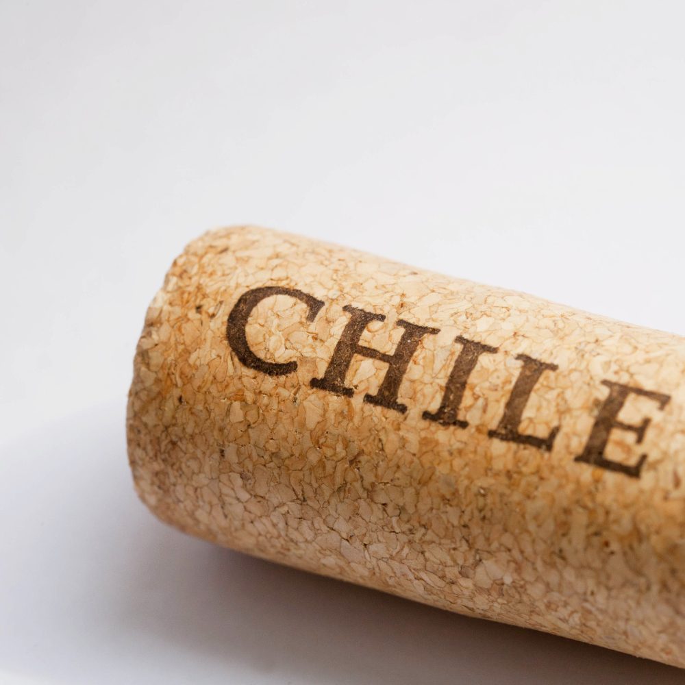 A Wine Lovers Guide to the Best Wine Regions in Chile : Winerist Magazine