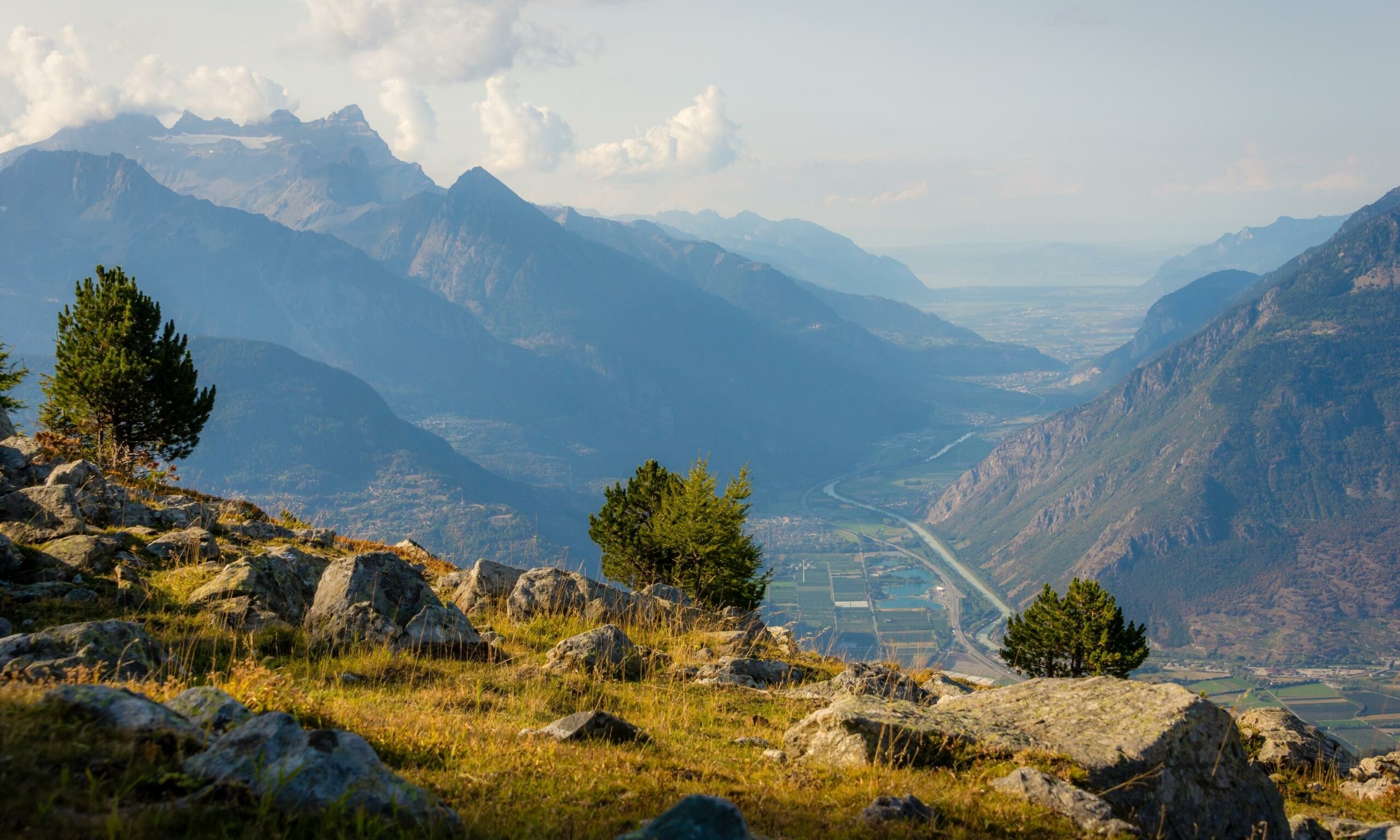 Why the Rhone Valley should be on your list for 2026 - Winerist ...